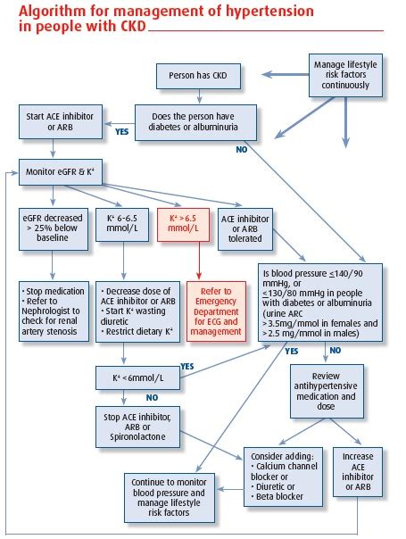 Gp For Me Algorithm For Management Of Hypertension In People With Ckd