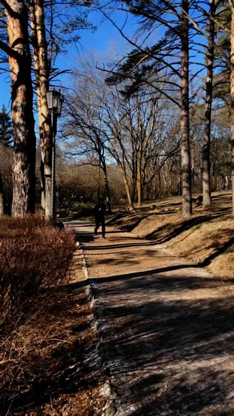 Беговой клуб Mrun Москва бег групповые тренировки И так каждый день 😂😅 — Mrunning Club бег