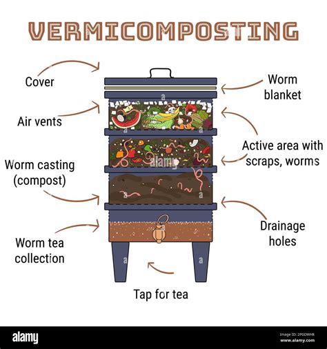 Infographic Of Vermicomposting Components Of Vermicomposter Vermicomposter Schematic Design