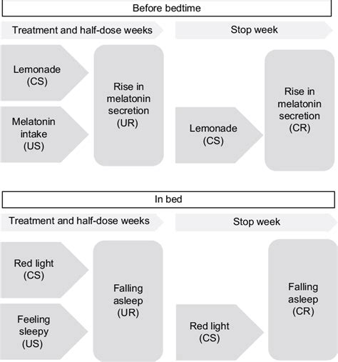 Classical Conditioning Procedure Notes Conditioned Stimuli Were A Download Scientific Diagram