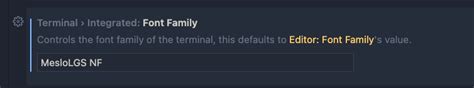 Font Issues While Integrating Zsh On Visual Studio Code Stack Overflow