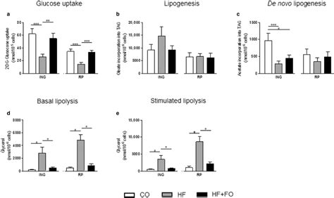 Metabolic Activities In Isolated Adipocytes From Ing And Rp Fat Depots