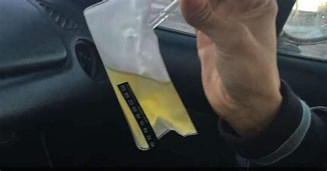 Cathider Album On Imgur