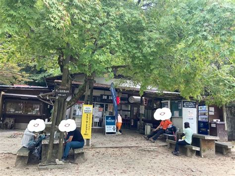 金剛山山頂 売店 金剛食堂 食べログ