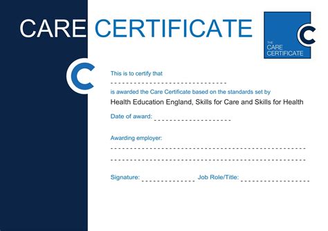 The Care Certificate Caretutor Social Care Elearning