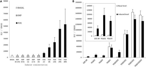 Induction Assay By Monitor The Ampc Promoter Activity Of Y