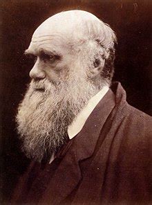 Religious Views Of Charles Darwin Wikipedia