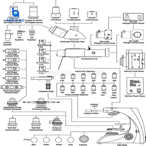 Professional Lab Fluorescence Microscope Biological With Camera