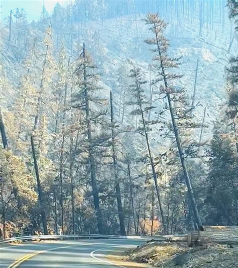 Fire Slows Considerably But Fire Authorities Warn Smith River Fire