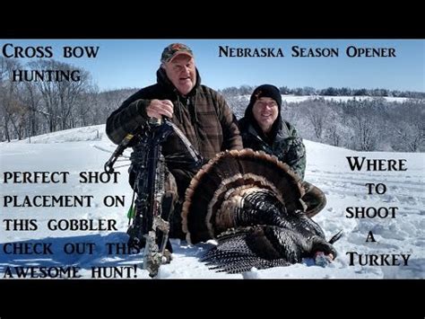 Ne Turkey Gobbler Downed With Cross Bow Perfect Shot Placement For
