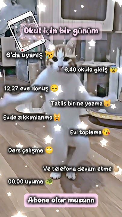 Keşfet Olll Youtube