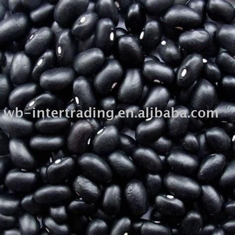 Small Black Beans China Beansandfoods Price Supplier 21food