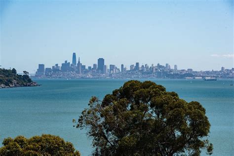 Amy Deming Simkins Coldwell Banker Mill Valley Ca