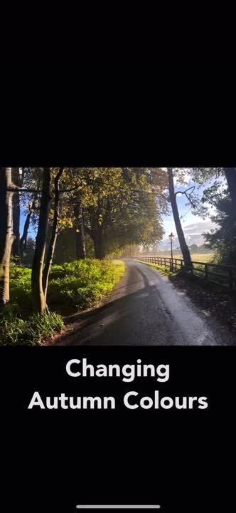 Denis Eustace On Linkedin Joanne Corbett 🌅☀️🌻