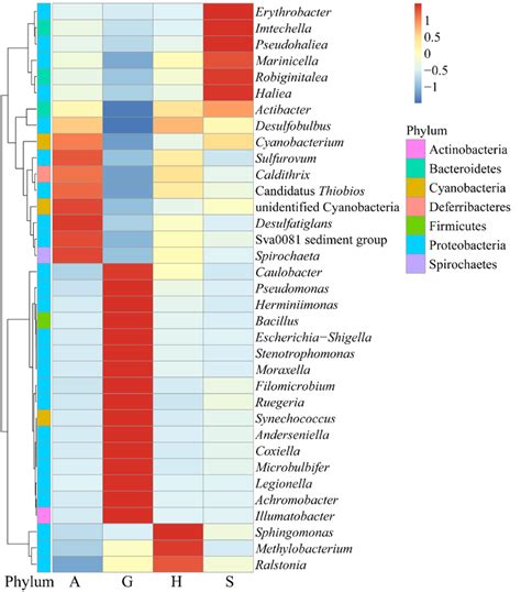 Heat Map Of The Relative Abundance Of The 35 Most Abundant Microbial Download Scientific