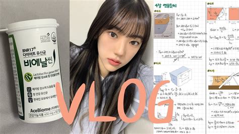 Vlog 시험기간 브이로그로 돌아왔다 분량 조절 실패 공부하고 공부하고 공부하는 일상 비에날씬 유산균 자취 브이