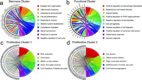 Go And Kegg Analyses Of Msc Subpopulations A The Biological Process