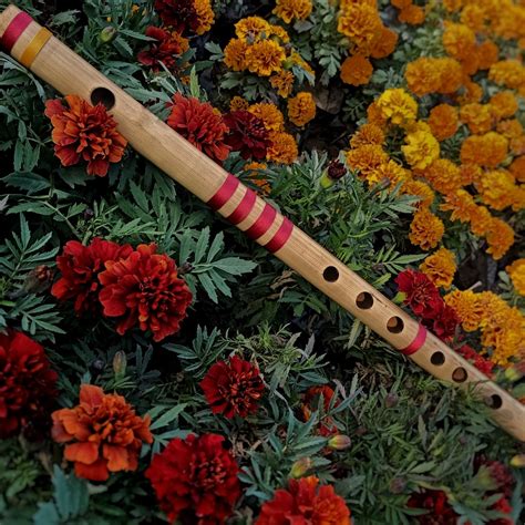 C Medium Bansuri Flute 19 Inch Hindustani Bamboo Flute Etsy