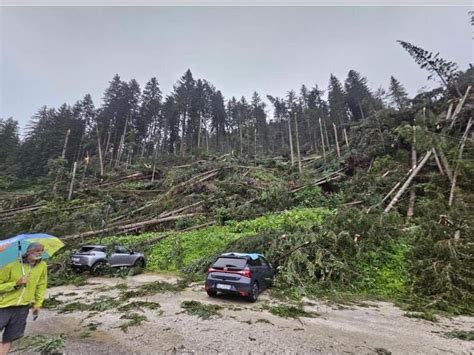 Maltempo Il Cadore Rivive Lincubo Vaia Metropolitanoit