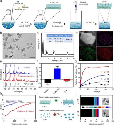 【journal Of The American Chemical Society】施剑林院士胡萍倪大龙：钙 铝层状双氢氧化物可通过酸中和和免疫调节作用以治疗骨质疏松 上海市伤骨科研究所