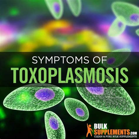 What Is Toxoplasmosis Symptoms Causes And Remedies