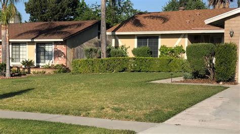 I Got Rid Of My Grass And Filled My Front Lawn With Native Plants My Neighbor Was A Bit
