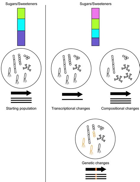 Publications — The Di Rienzi Lab