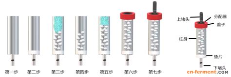 如何使用树脂和预装柱纯化蛋白产品