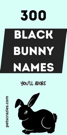 300 Black Bunny Names Youll Adore Black Bunny Bunny Names Rabbit Names