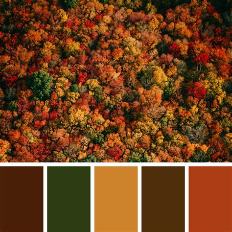 30 Autumn Color Palettes For Coloring Pages Embrace The Seasons