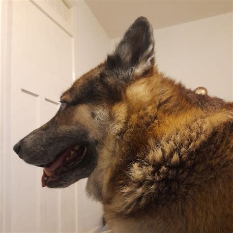 James Cairney Youtube