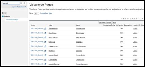 Techie Girl ☁ Visualforce Basics