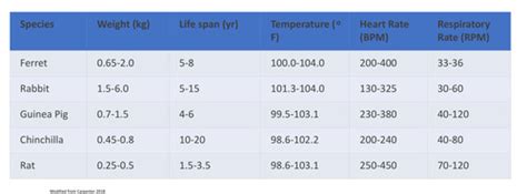 Exotics Flashcards Quizlet