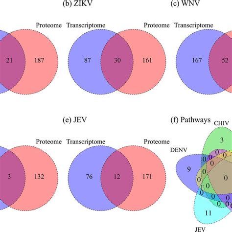 Signature Pathways By Multiple Omics Analyses Venn Diagrams Show The