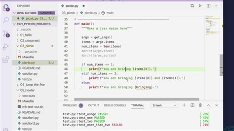 Tiny Python Projects Ch 3 Pt 13 Solution Pt 2 Youtube