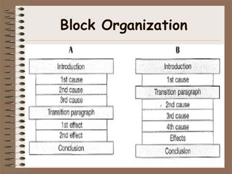 Cause And Effect Essay Structure