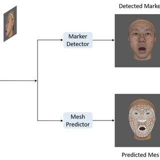 Overview Of Preprocessing Download Scientific Diagram
