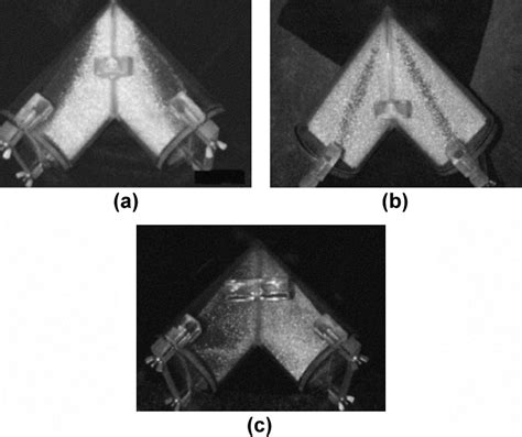The Three Segregation Patterns Found In The 1 Quart V Blender When Run