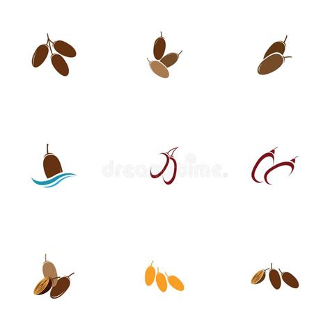 Dates Fruits For Creating Brand Products Design Vector Illustration