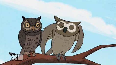 Owls Animated Character Database Fandom