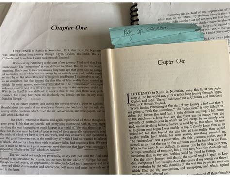 Sharon Gans Portrait 1300 The Gentle Souls Revolution