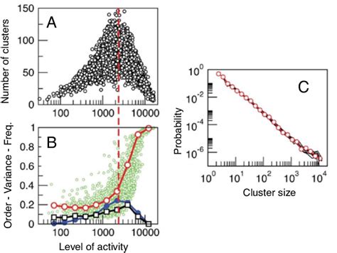Brain Activity Recorded Using Functional Magnetic Resonance Imaging Download Scientific Diagram