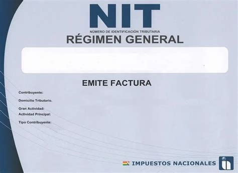 Verificar Tenencia De Nit Bolivia 2026 Impuestos Nacionales