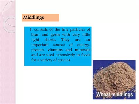 Wheat And Its Byproducts Health Benefits And Application In Food