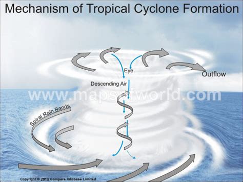 Tropical Cyclone Formation