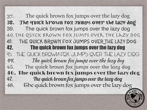 Medium Qr Code Roll Labels Blue Planet Labels Blue Planet Labels