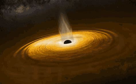 Black Hole S