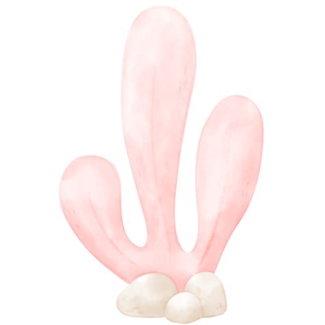 Ilustração De Algas Em Aquarela 19866047 Png