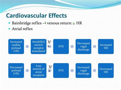Subarachnoid Block Dr Amit 1pptx Subarachnoid Block Dr Amit 1pptx