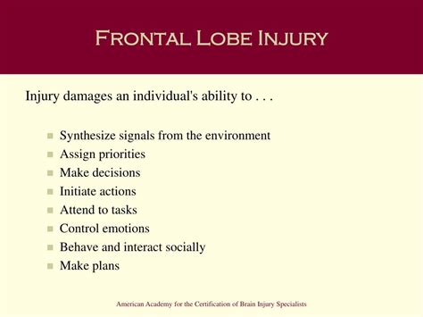 Ppt Chapter 3 Understanding The Brain And Brain Injury Powerpoint